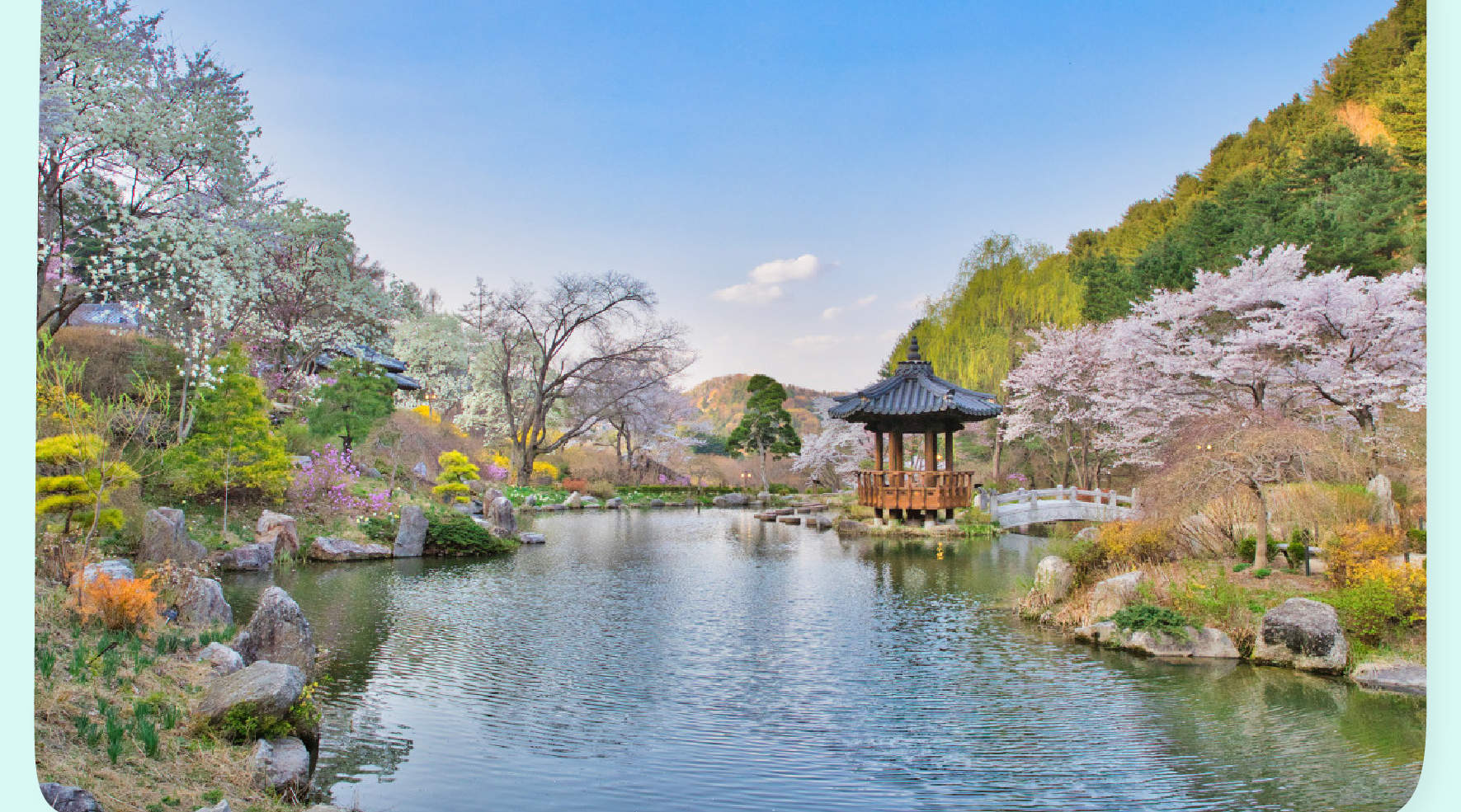 Pocheon Art Valley & Strawberry farm & Herb Island Illuminating ...
