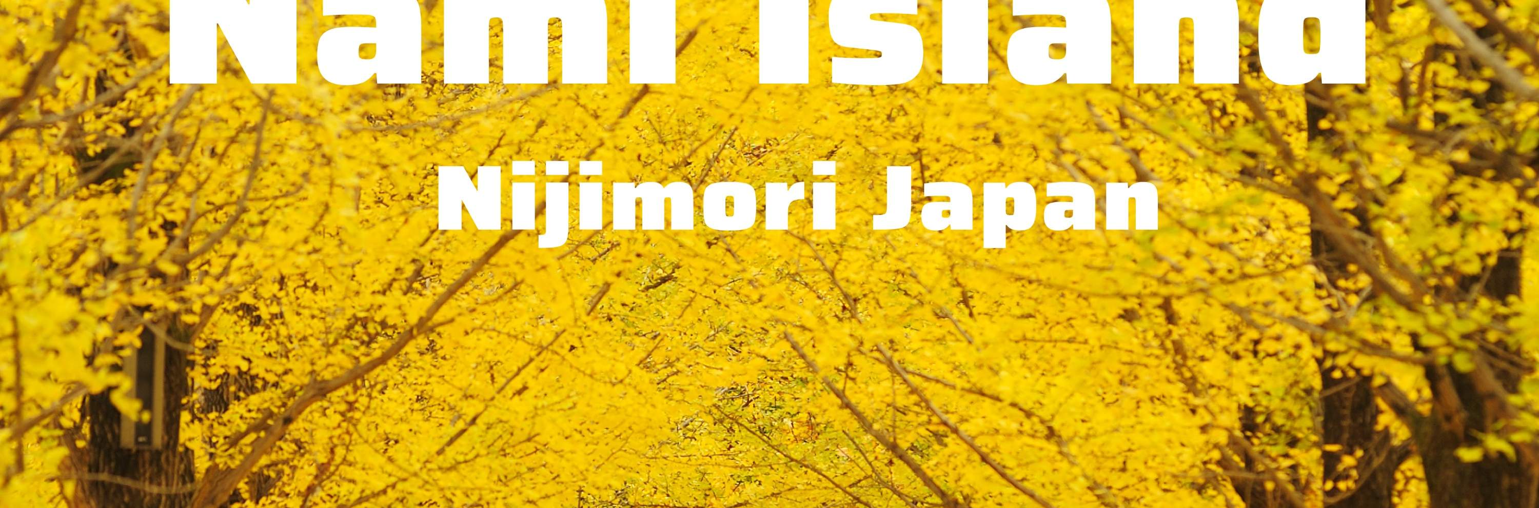 Nami Island & Nijimori Japan & Morning Calm & Railbike & Alpaca - Klook ...