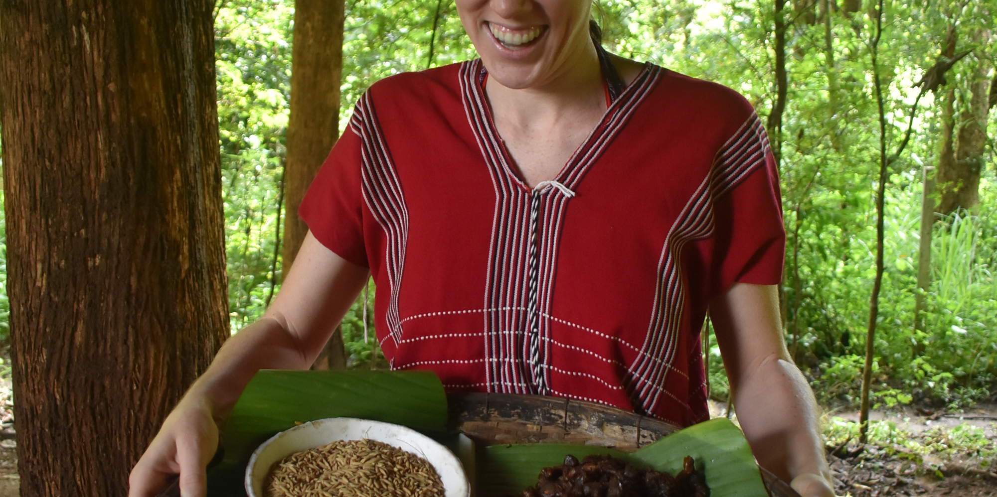 Elephant Discovery Experience in Chiang Mai with Transfers - Klook