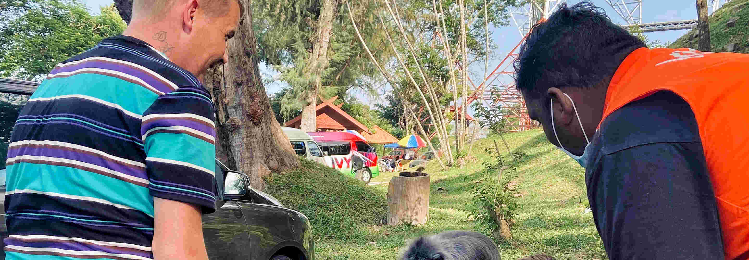 Fireflies Night Tour with Seafood Dinner and Boat Ride - Klook Singapore