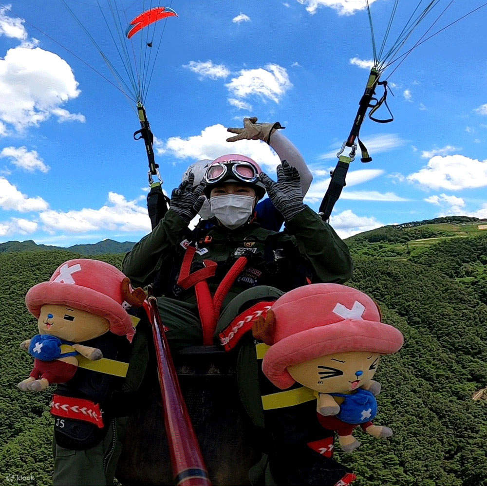 Danyang paragliding experience Thesen - Klook
