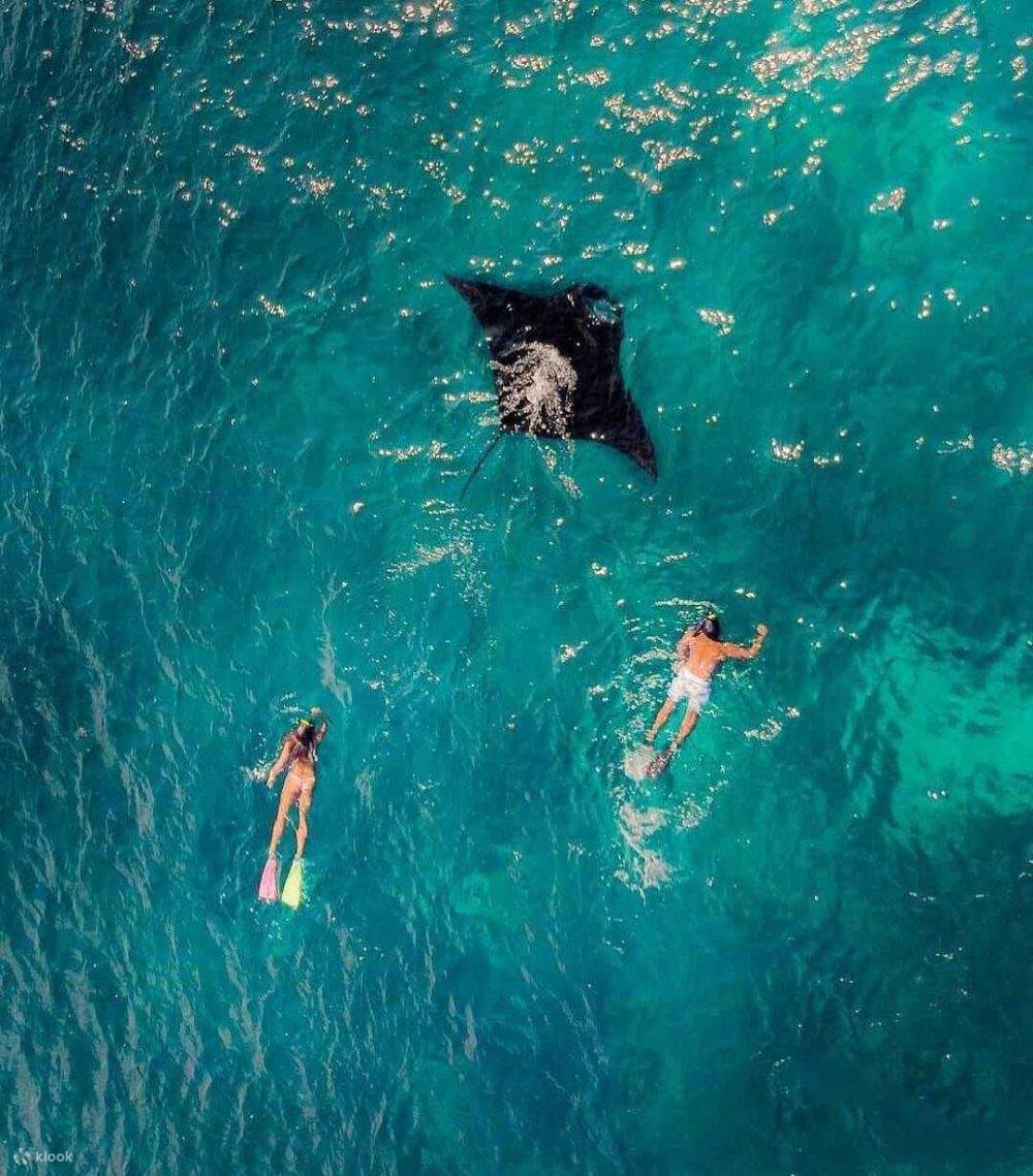 Komodo Full Day Luxurious Speedboat Tour from Labuan Bajo - Klook