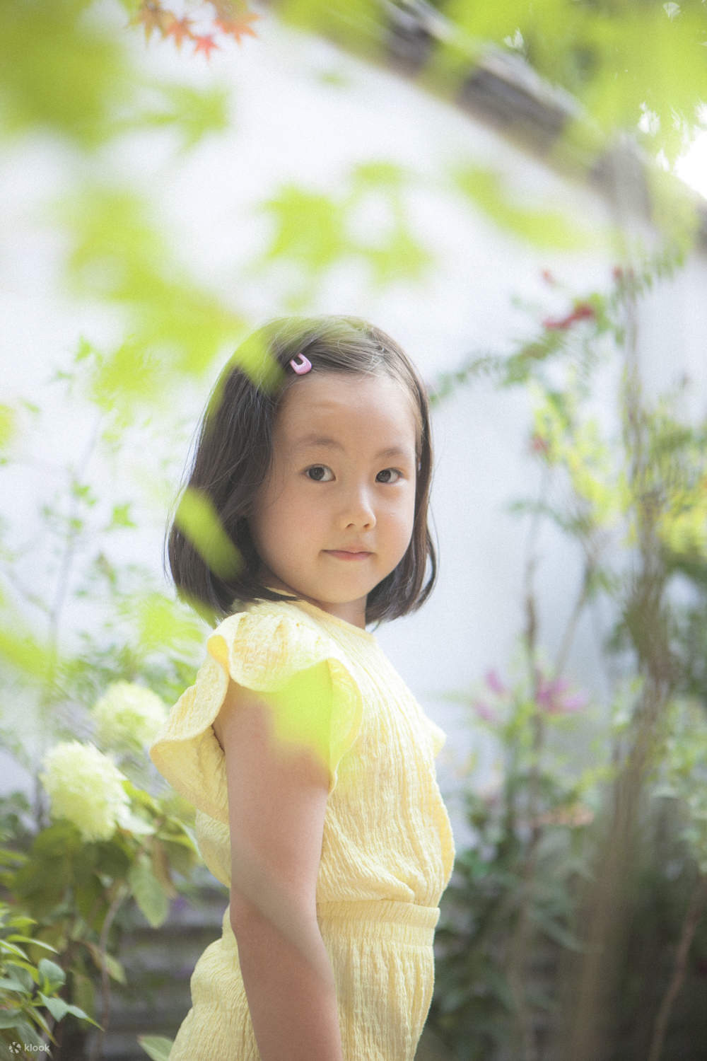 Photoshoot Experience in a Century Old Hanok With Traditional Tea ...
