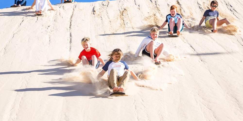 Port Stephens Guided Tour with Dolphin Cruise, Koalas & Sandboard ...