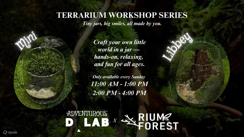 Tiket D Adventurous Project di Penang - Klook Indonesia