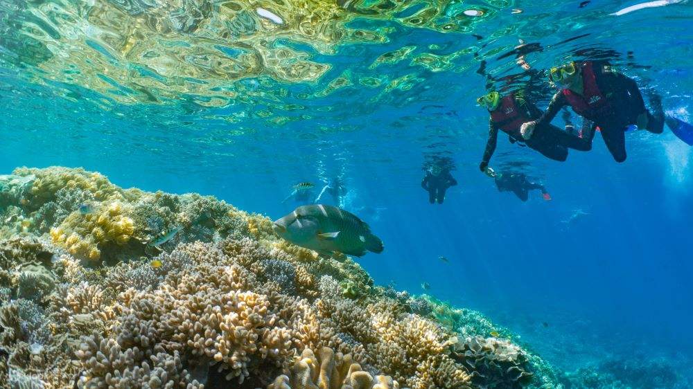 Moore Reef con tour de un día de vuelo panorámico en helicóptero de 10 ...