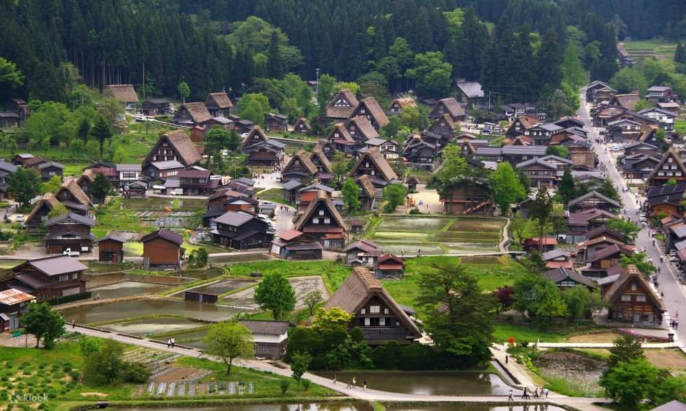 Shirakawago & Hida Takayama & Gujo Hachiman One Day Tour from Nagoya - Klook