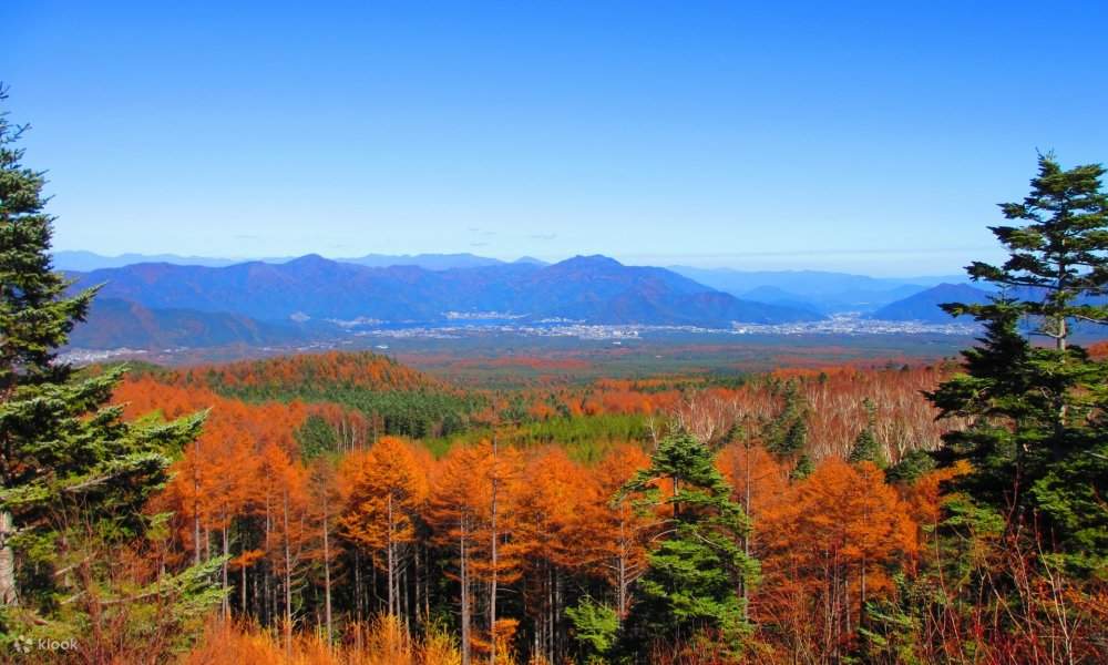 Mount Fuji 5th Station and Gotemba Premium Outlets from Tokyo(Disban ...