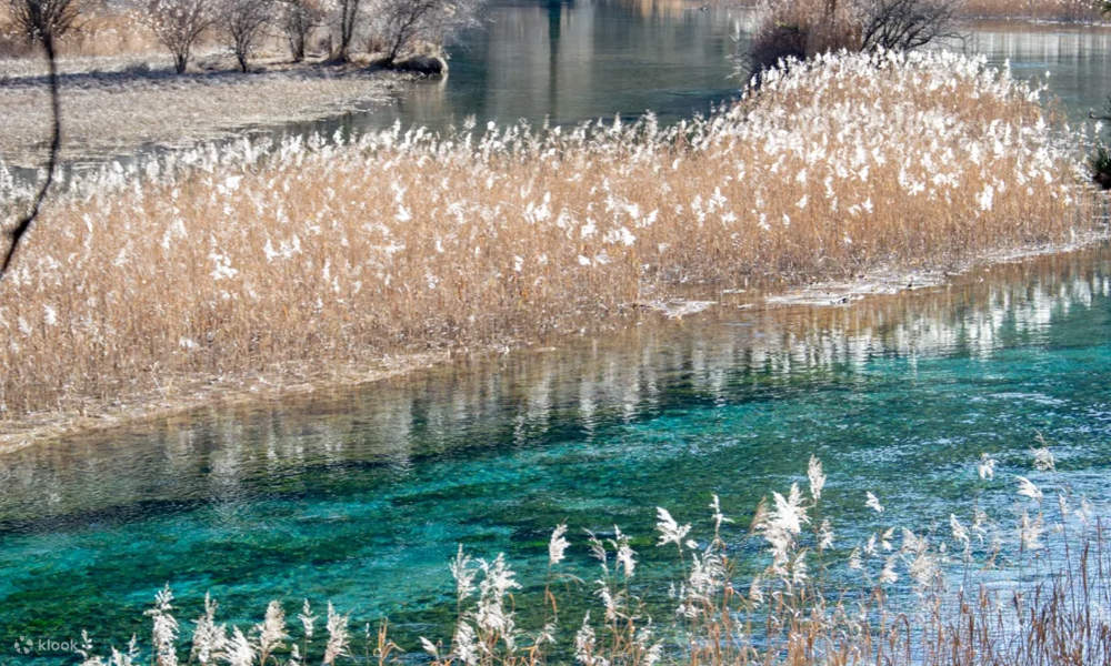[China Railway Tour] Chengdu & Jiuzhaigou High-Speed 1-Day Tour (Kereta ...