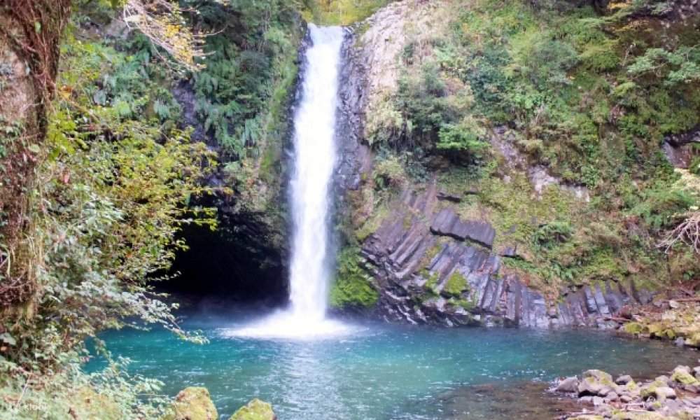 Kawazu-zakura Joren Falls & Nanohana One Day Tour from Tokyo - Klook ...