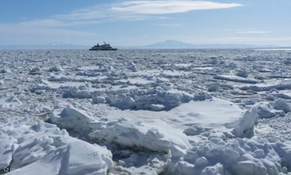 Icebreaker Cruise & Ocean Park & Sounkyo Ice Fall Fes with lunch - Klook