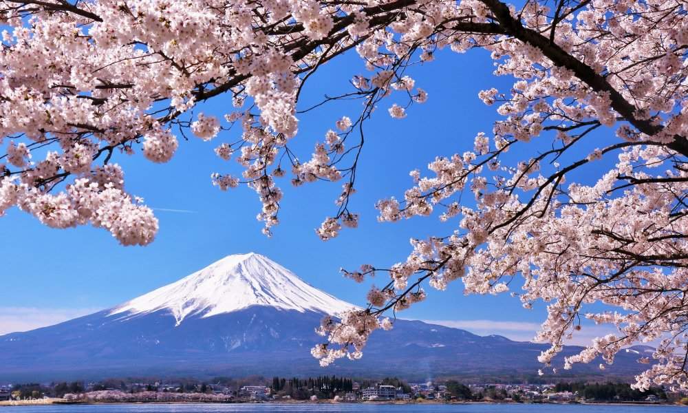 Mount Fuji 5th Station & Five-Story Pagoda & Honmachi Shopping Street ...