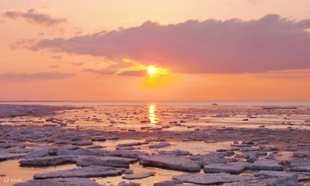 Asahiyama Zoo, the Frozen Ice Sea and Sunset Cruise Day Trip from ...