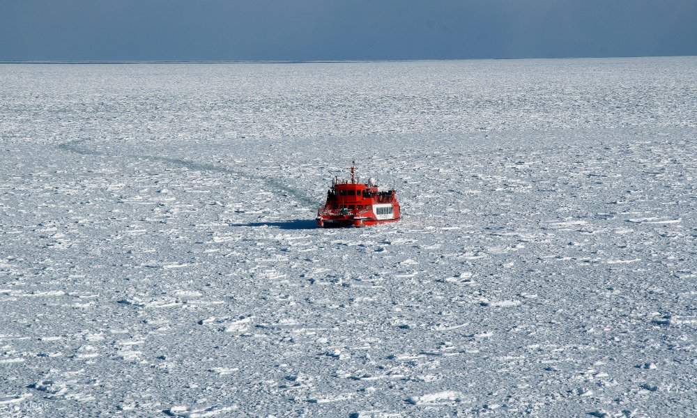 Icebreaker Cruise & Monbetsu Ocean Park & Sounkyo Ice Fall Festival - Klook