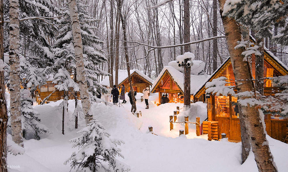 Hokkaido | Biei Winter Blue Pond & Shirasuga Falls Illumination Day ...