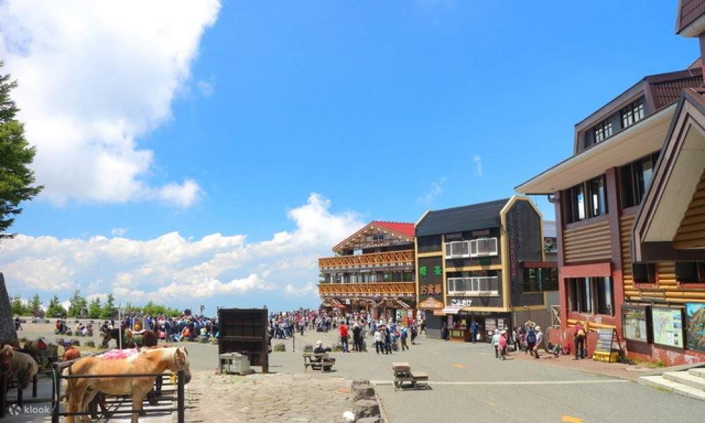 Mount Fuji 5th Station and Gotemba Premium Outlets from Tokyo(Disban ...