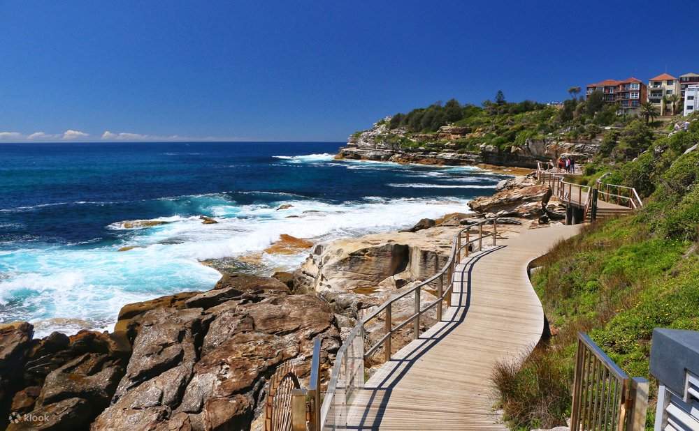 Bondi to Coogee Coastal Hike & A La Carte Lunch at Coogee Bay Hotel ...