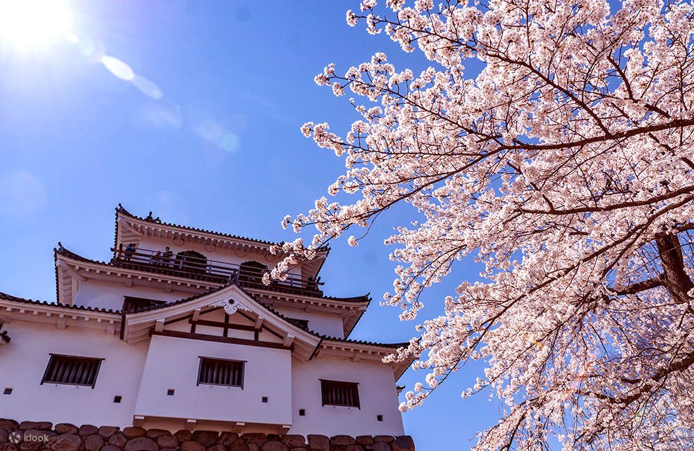 Sendai Cherry Blossom Season Exclusive Private Charter One-Day Tour ...