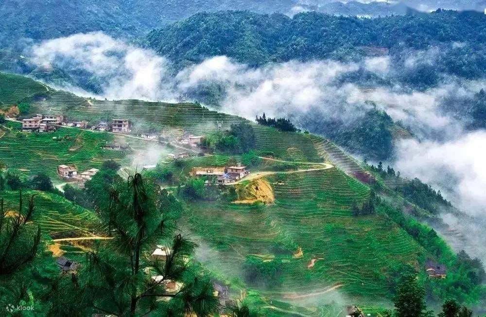 Anxi Tea Culture Private Day Tour from Xiamen with your choice of ...