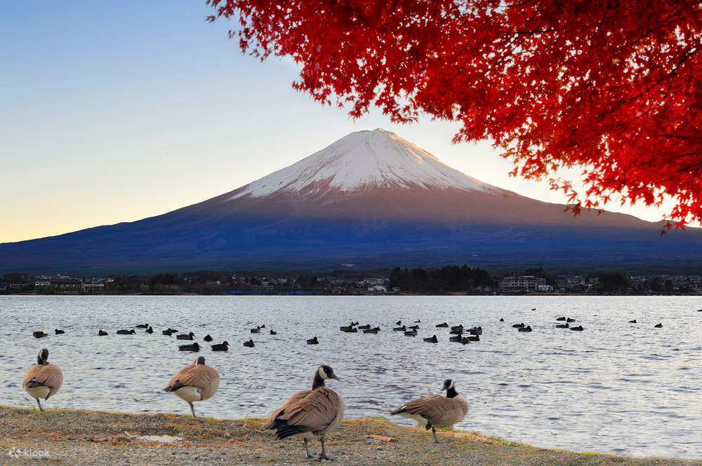 Tour Classico del Monte Fuji: Oshino Hakkai, Gotemba Premium Outlets e ...