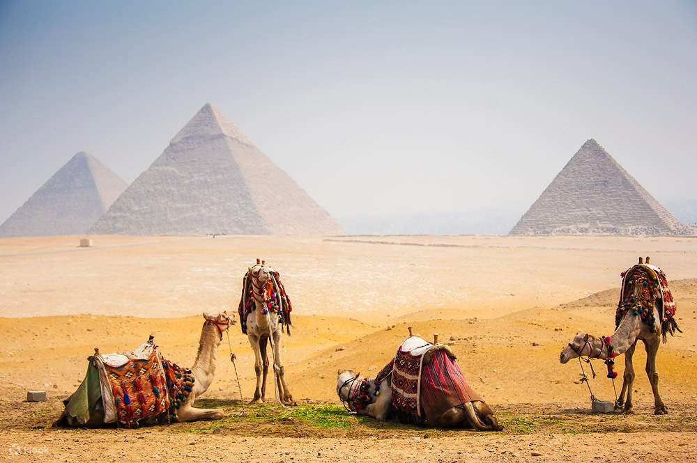 Exploring Giza Pyramids, the Sphinx and the Treasures of Cairo - Klook ...