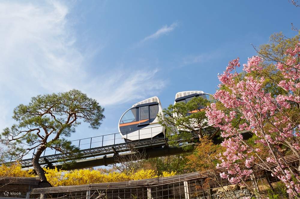 Explore Suwon Top Attractions & Exclusive Festival Route - Klook ...