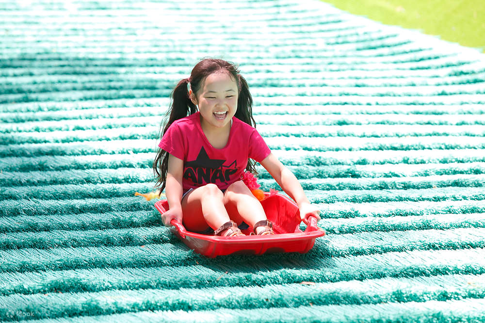 Fuji Subaru Land One-Day Pass in Kawaguchiko - Klook