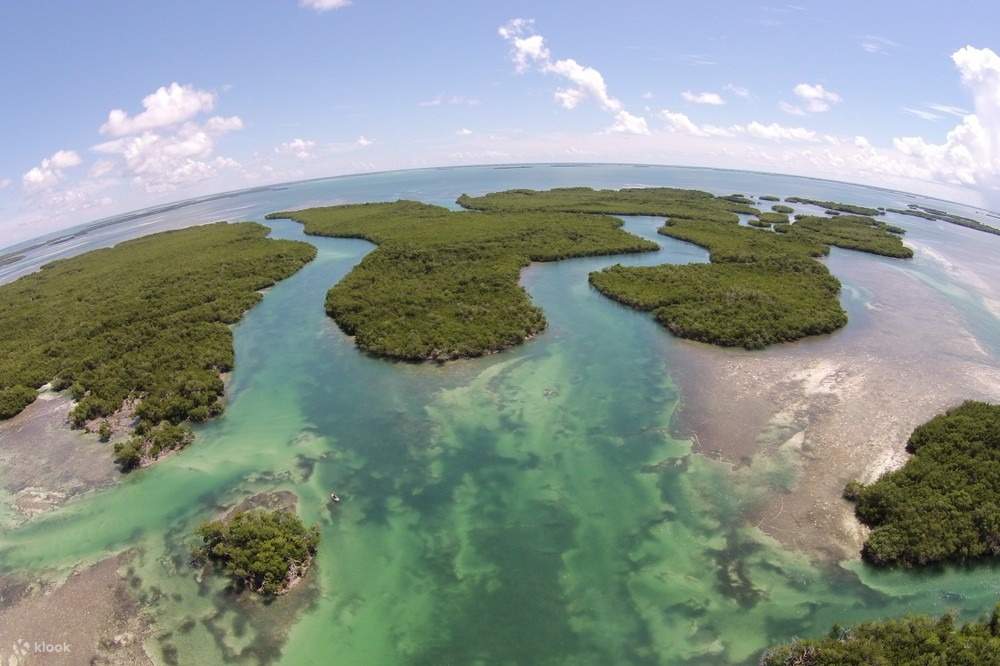 Tur Helikopter Ramah Lingkungan di Key West - Klook Indonesia