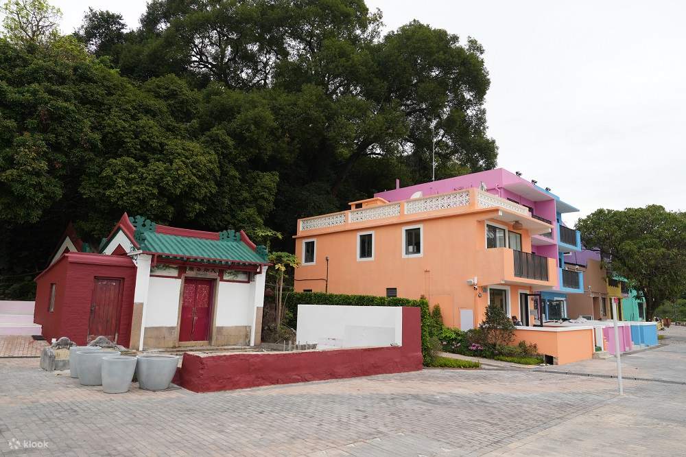 Ma Wan 1868 | Ma Wan Heritage & Old Tree Guided Tour and Art Walk ...