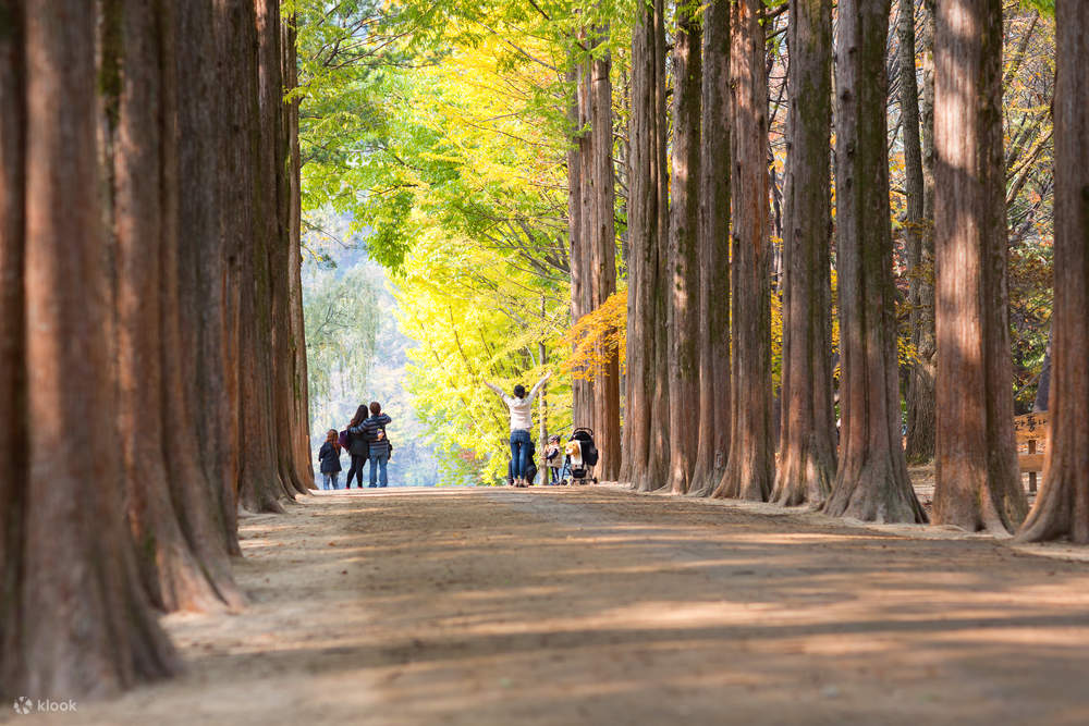 Nami Island and Mt. Seorak Day Tour - Klook Australia