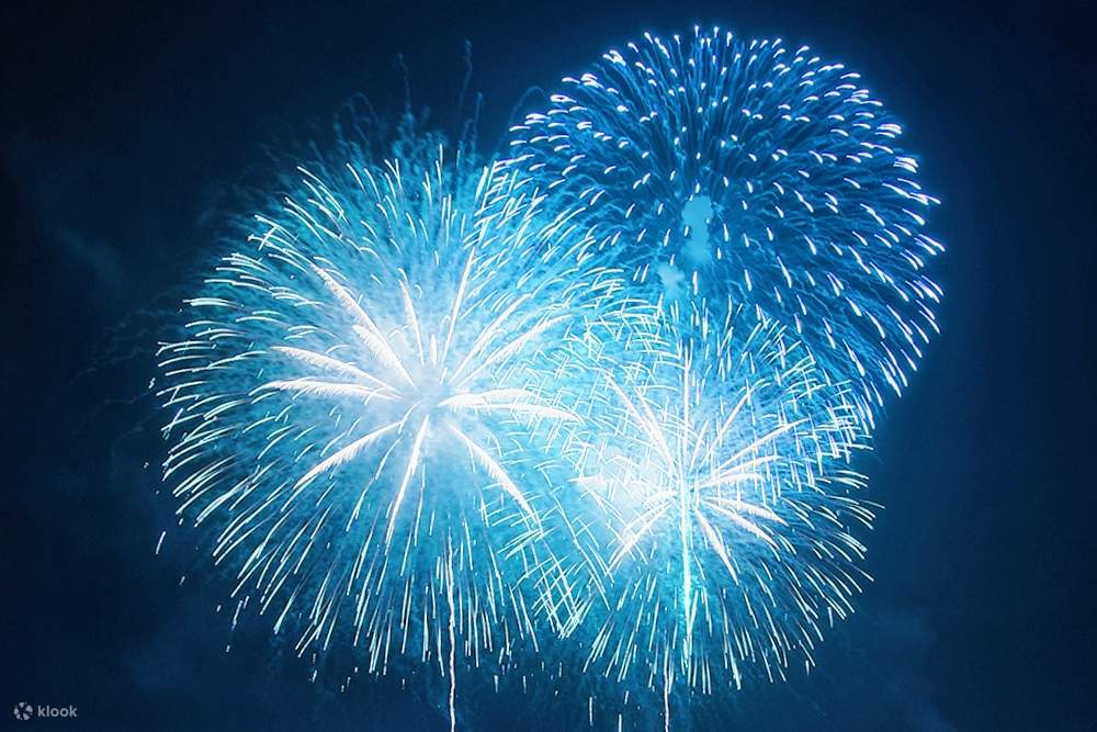 38th Yatsushiro National Fireworks Competition Day Tour (Depart from ...