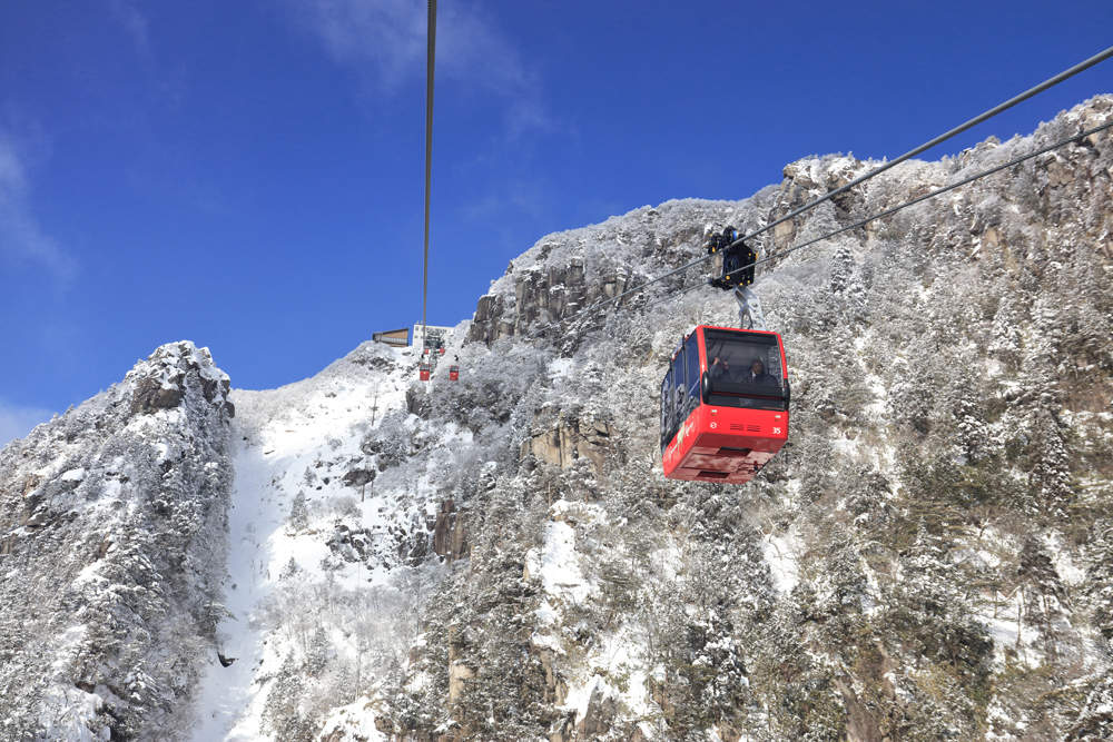 Silver-white snow scenery "Gozaisho Ropeway" & light illumination "Nabana no Sato" day trip tour ...