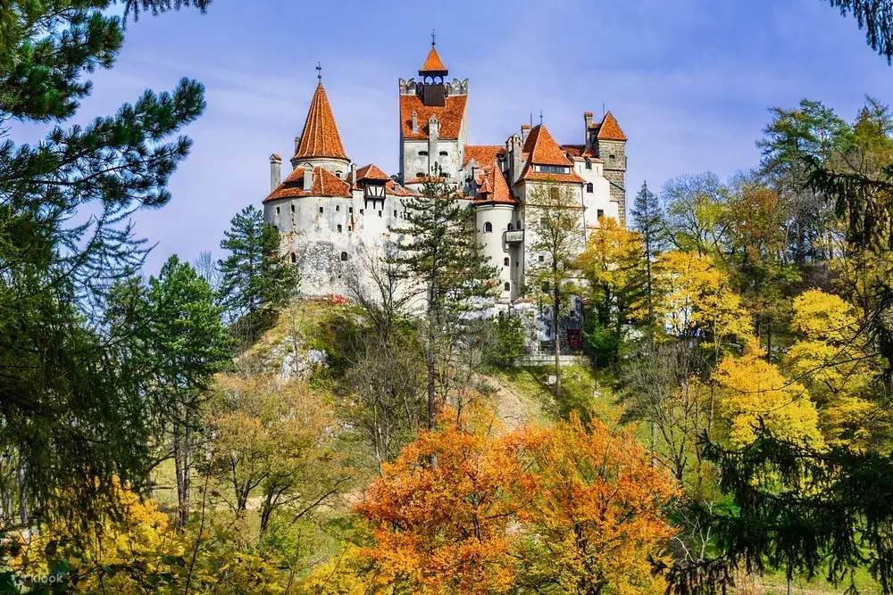 A Day in Transylvania: Peles Castle, Bran Castle & Brasov - Klook