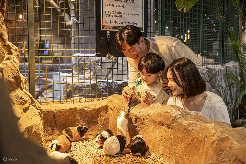 Gyeonggi Dongtan Zoolung Zoolung Indoor Animal Theme Park Ticket - Klook