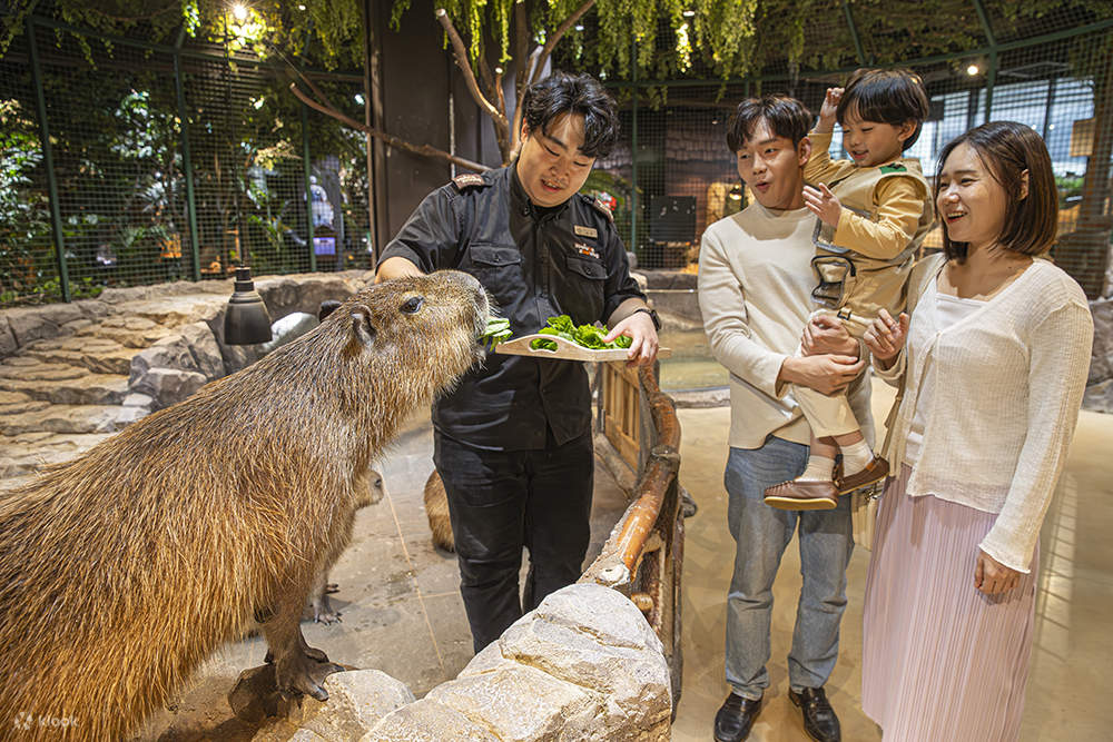 Gyeonggi Dongtan Zoolung Zoolung Indoor Animal Theme Park Ticket - Klook United Kingdom