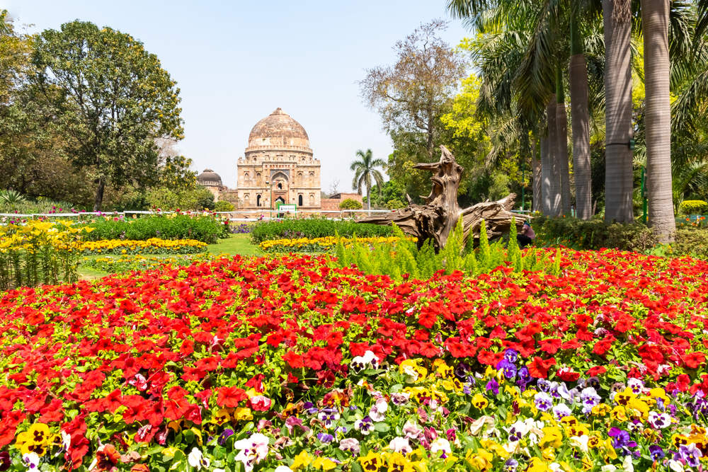 Immerse in Delhi's Heritage: 2-Hour Guided Photography Tour - Klook