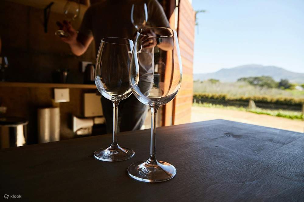 De la vid al vino: Experiencia en el viñedo en Amadio Wines - Klook ...