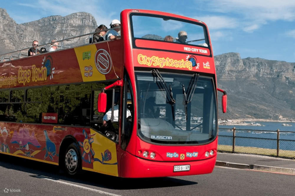 Cape Town Mega City Pass Admission In South Africa Direct Entry Klook