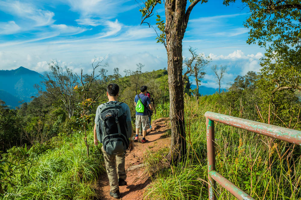 Wild Trails of Nainital: 4 Hours Guided Trekking Experience - Klook India