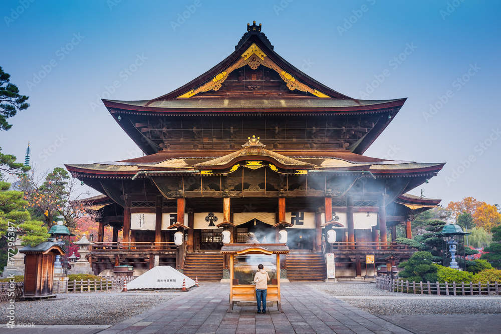 Jigokudani Monkey Park & Zenkoji Temple Private Day Trip - Klook