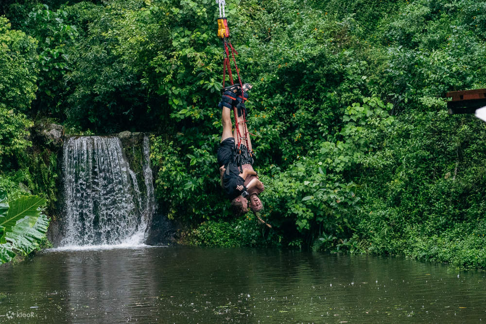 Cairns Bungy Jumping Experience - Klook Australia