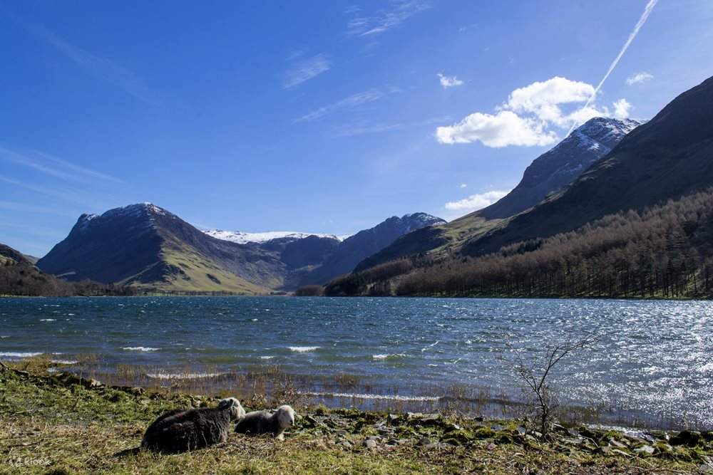 Ten Lakes Spectacular Tour from Windermere - Klook