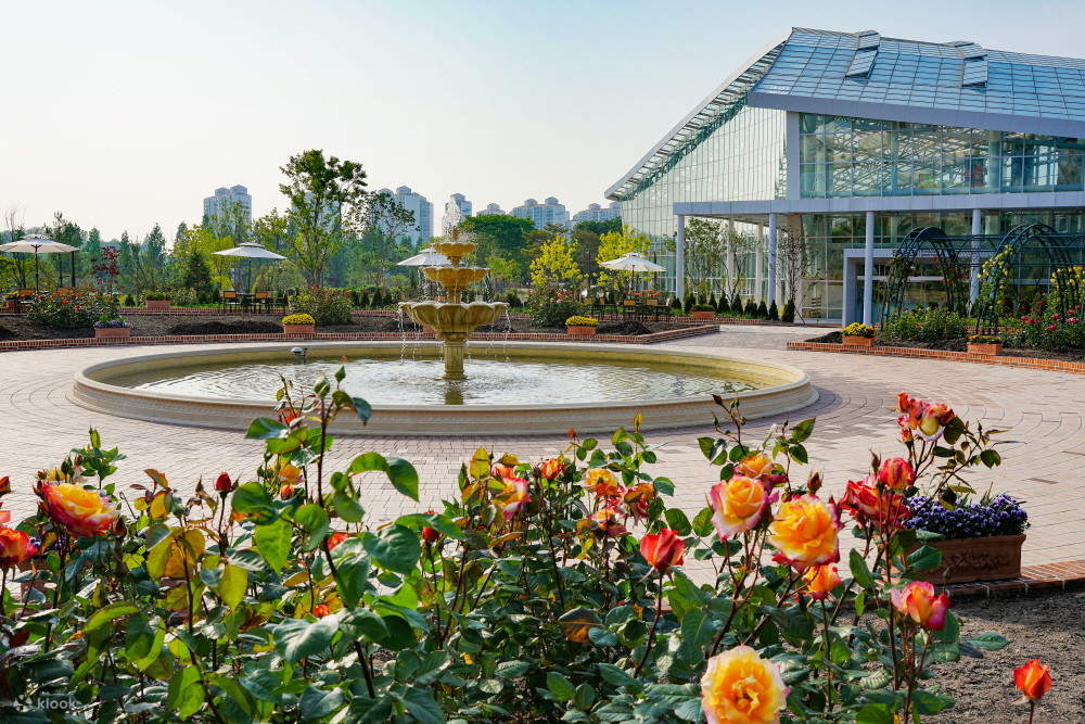 Arboretum Irwol, Ludensia, Korean Folk Village & Starfield Library Tour ...
