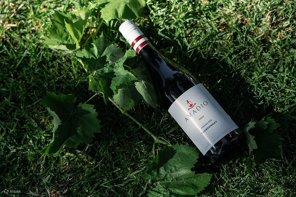 From Vine to Wine: Vineyard Experience at Amadio Wines - Klook