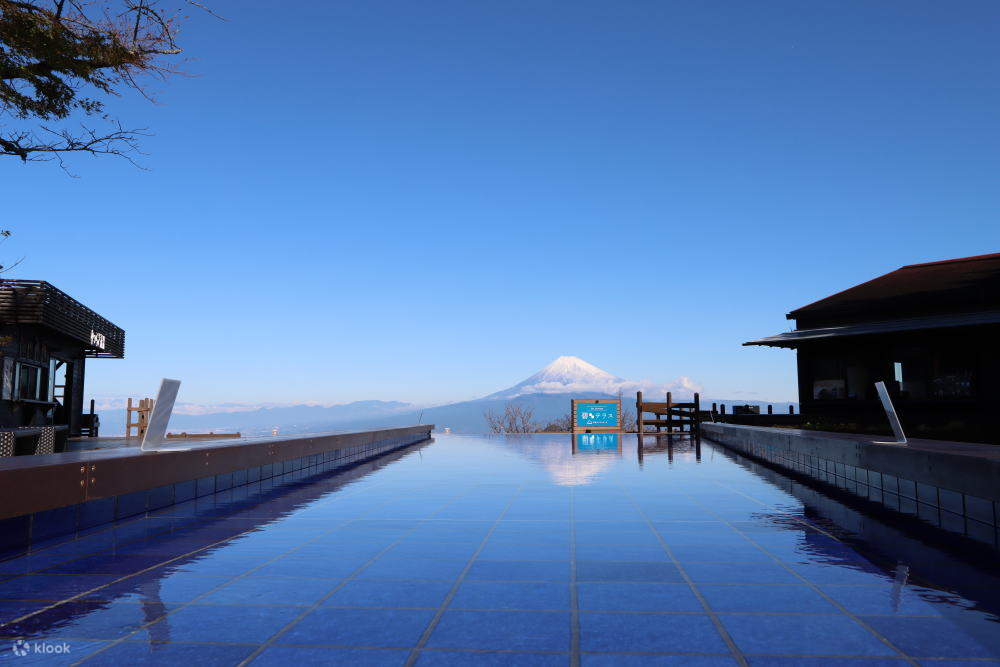 Izu/Atami Customized Chartered One-Day Tour - Klook