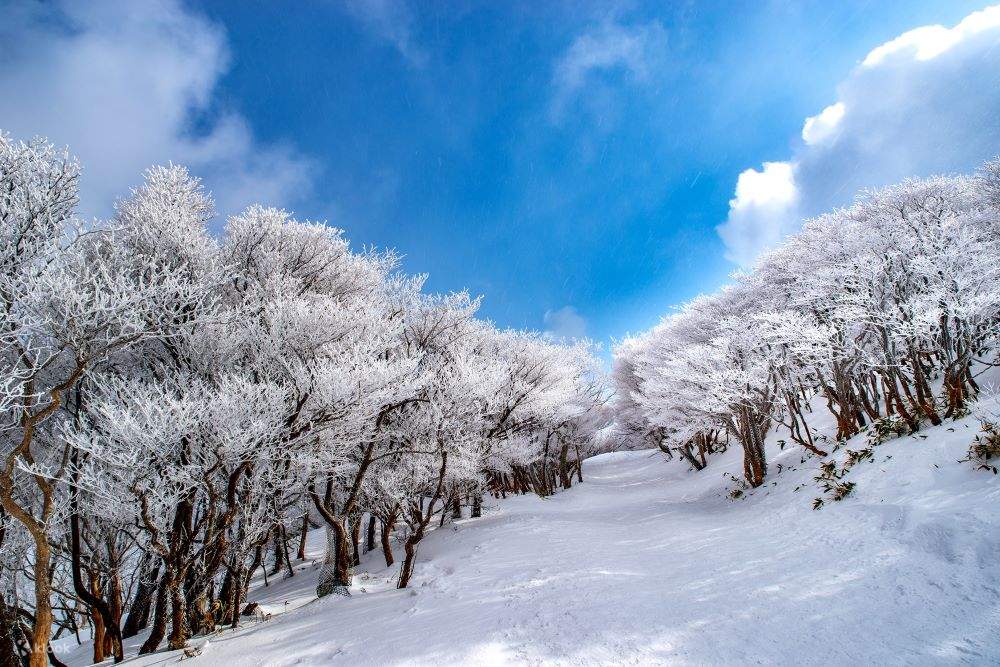 Lawatan Bas ke Nagashima Mitsu Outlet & Nabana no Sato Winter ...