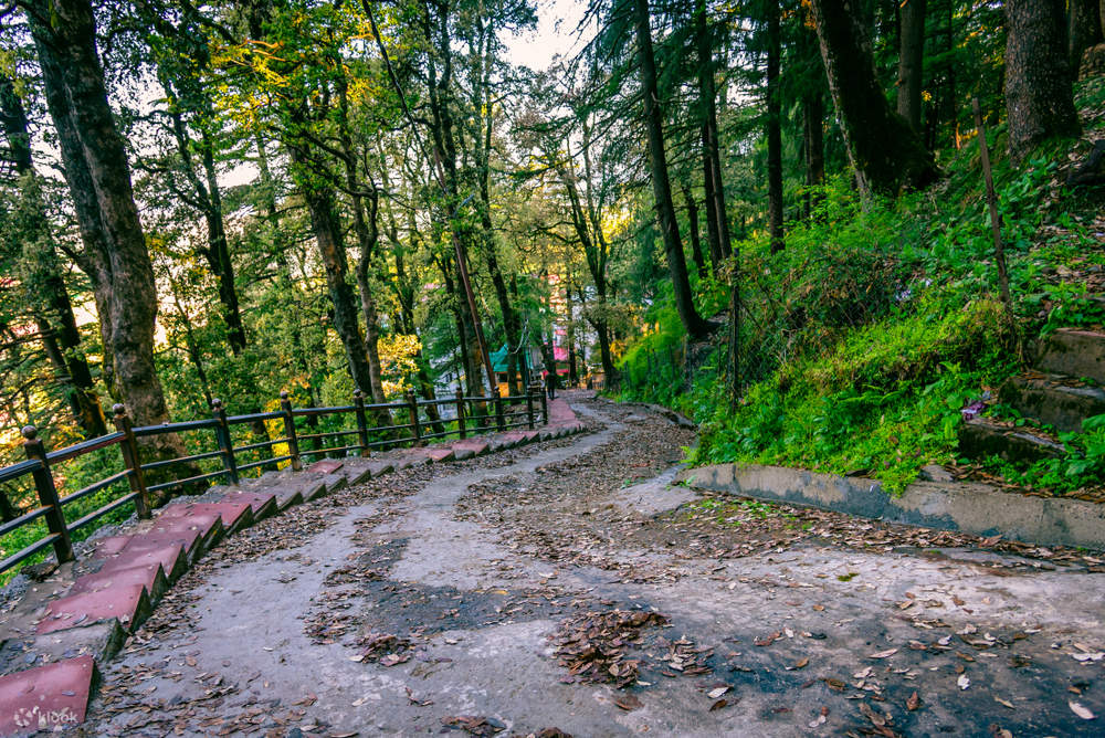 Shimla Nature Walk: Guided Tour by Foot with a Guide - Klook Hong Kong