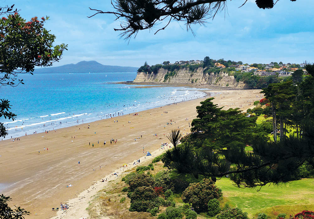 [Roundtrip from Auckland] Luxury Beach + Countryside Day Tour in North ...
