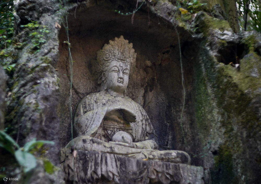 Hangzhou West Lake + West Lake Boat Ride + Lingyin Temple + Tea Brewing ...