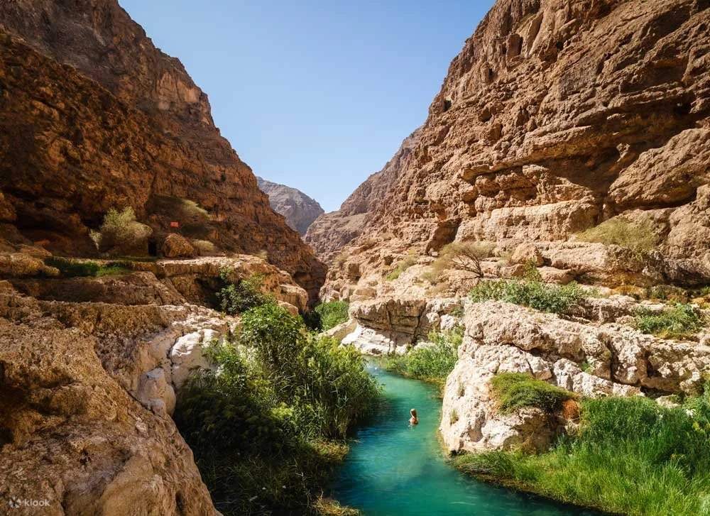 Oman Nature, Coast & Heritage Adventure from Muscat - Klook India